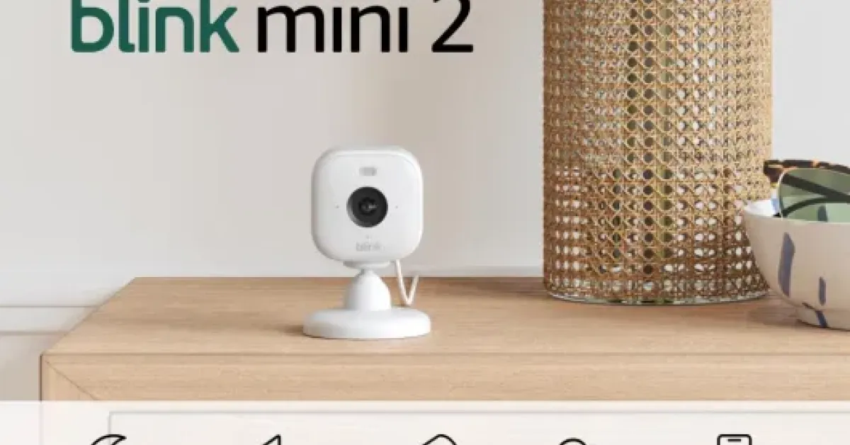 Blink Mini 2 Review: A Decent Security Option for Your Home