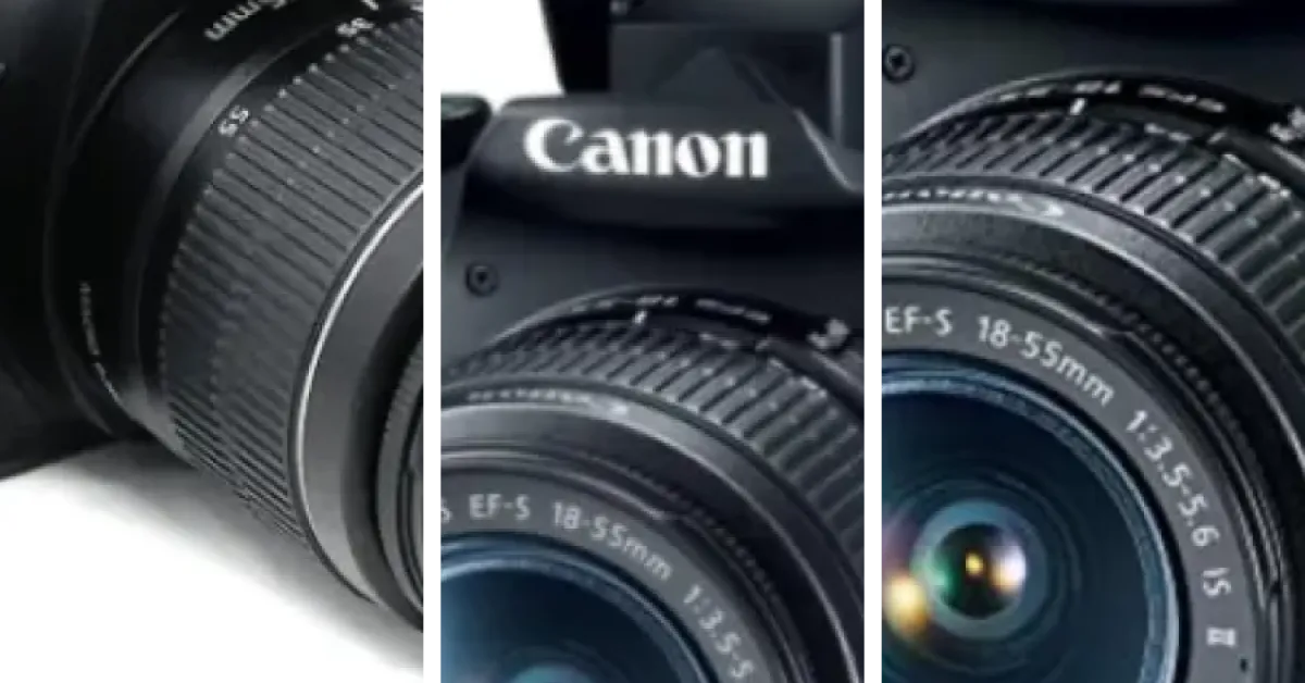 12 best entry level DSLR cameras: our comparison (2026)